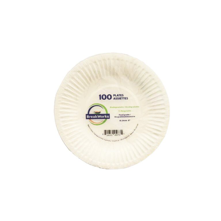 6" White Paper Plates - DBLG Import